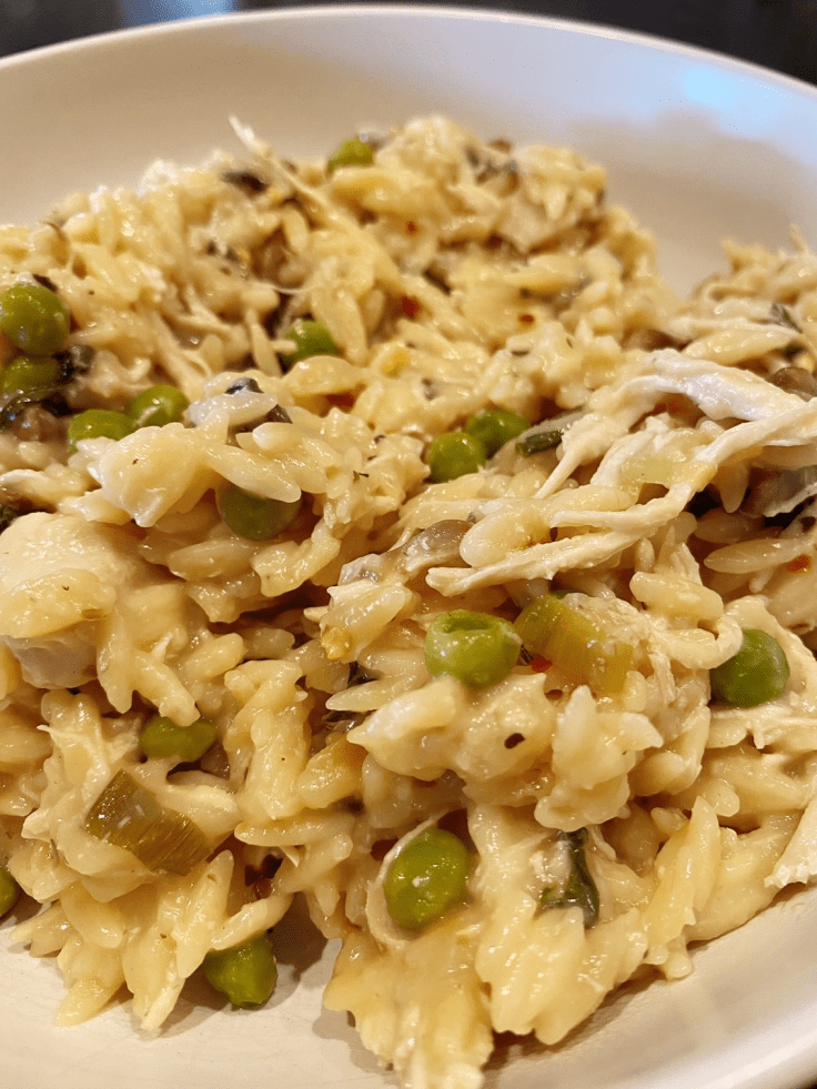 One Pot Chicken and Mushroom Risoni Pasta – The Faithfood Blog