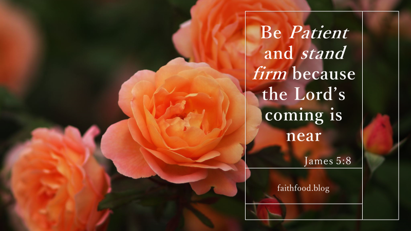 The Book of James – Sin and Enduring Faith – The Faithfood Blog