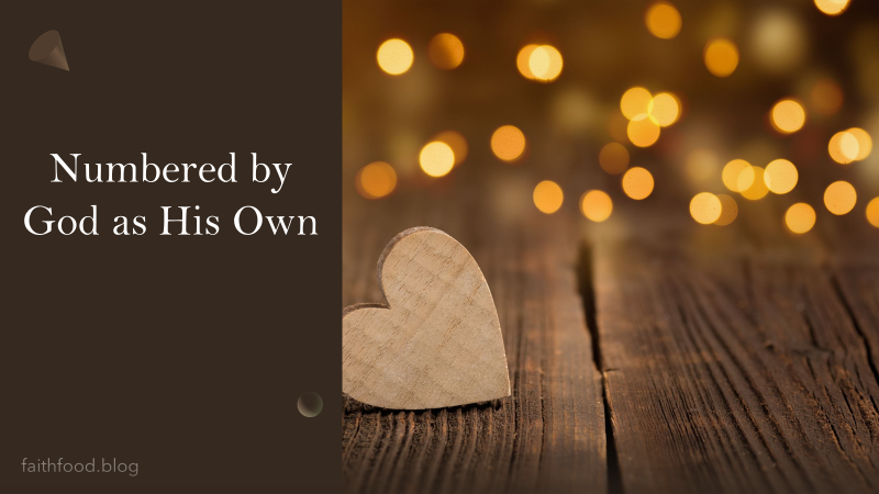 The Book of Numbers – Census in the Wilderness – The Faithfood Blog